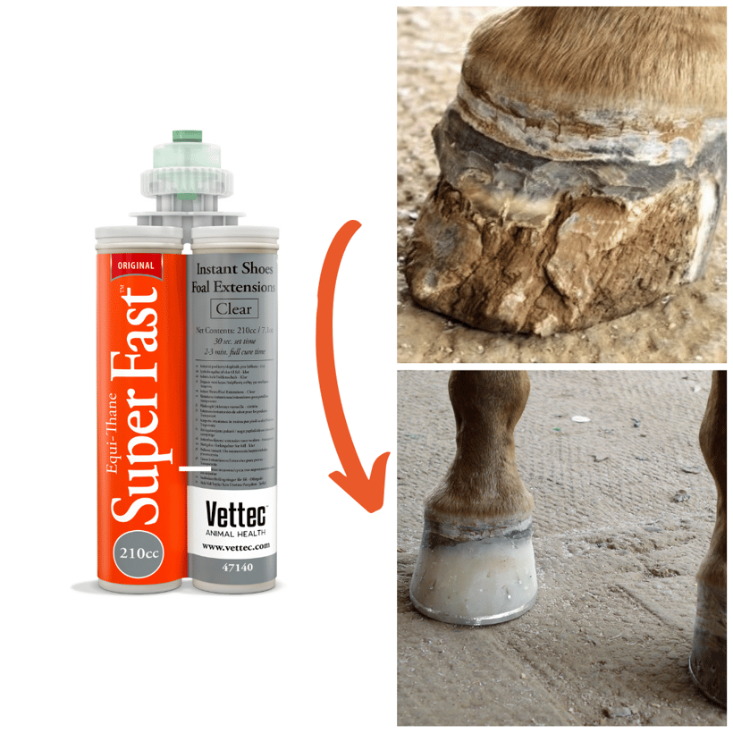 Vettec